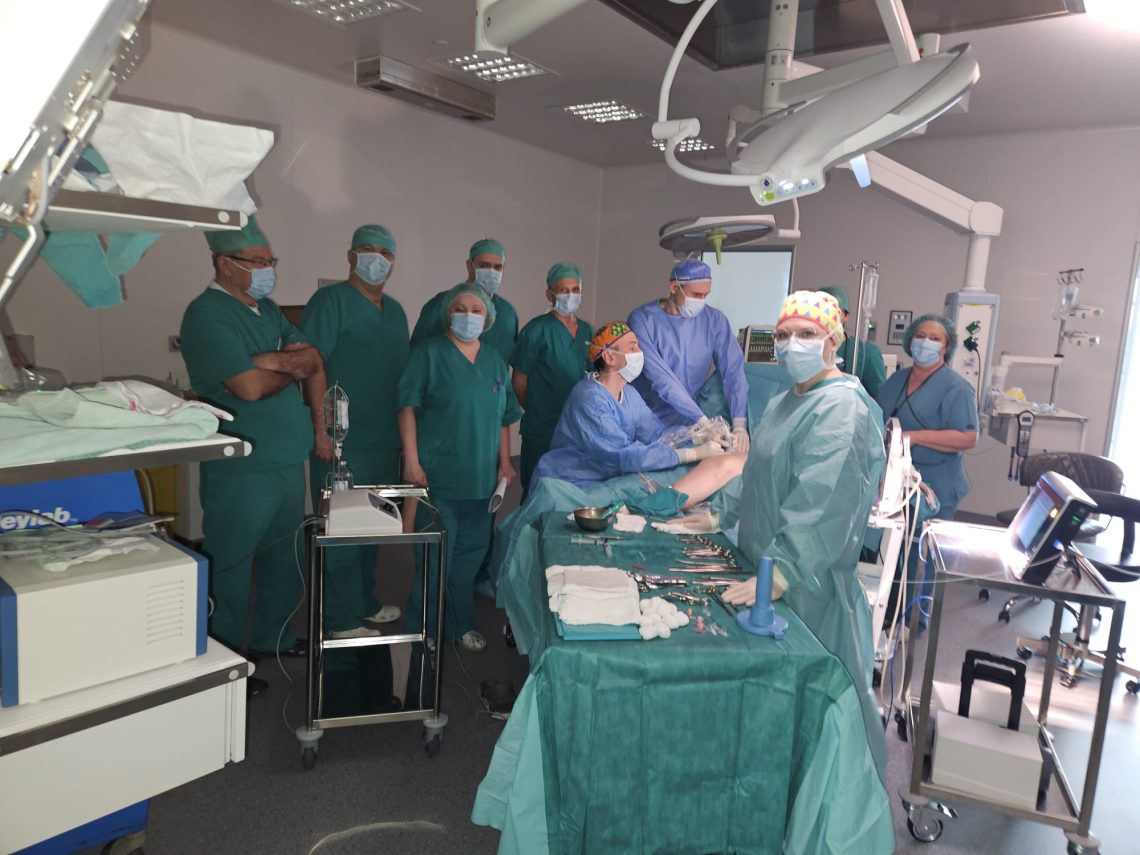 U bjelovarskoj bolnici danas izvedena prva laserska operacija vena ...